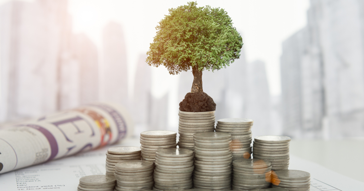 Alt du skal vide om Aktiesparekonto - D-investering